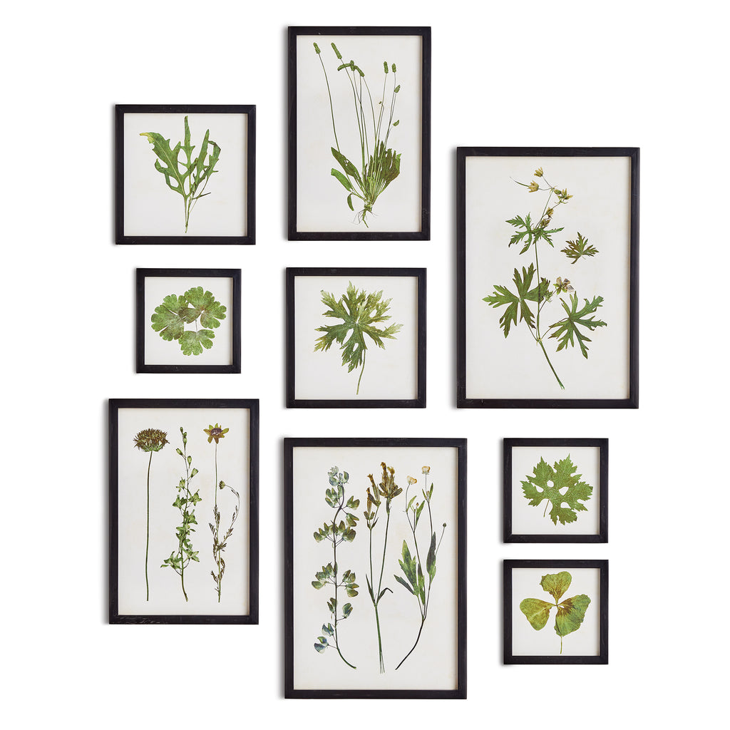 FOLIAGE PRINTS, SET OF 9 – Napa Home & Garden