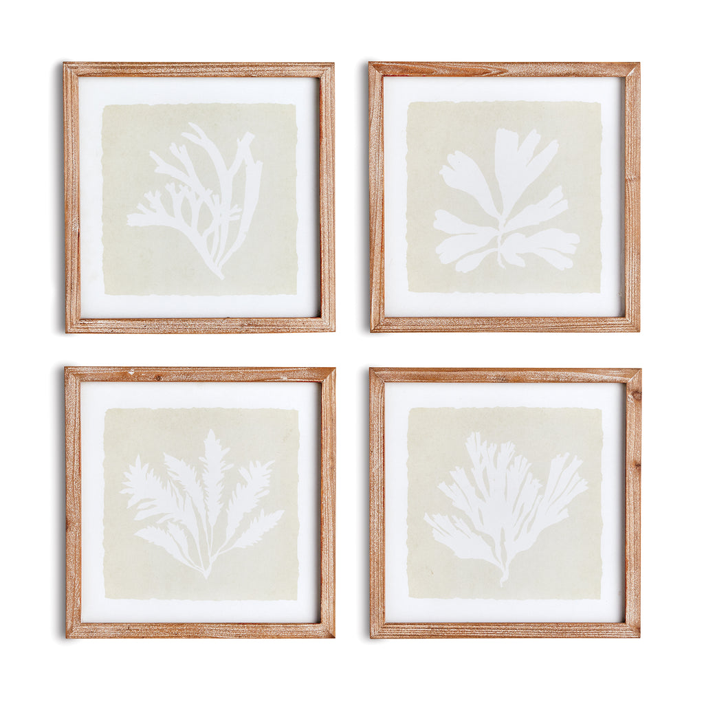 SEAWEED PETITE PRINTS, SET OF 4 – Napa Home & Garden