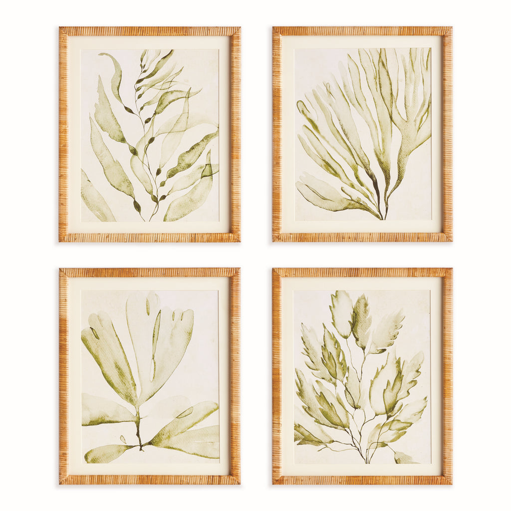 COASTAL GREENERY PRINTS, SET OF 4 – Napa Home & Garden