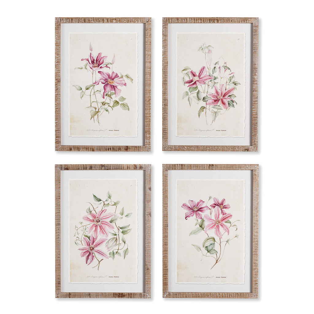 PINK CLEMATIS PRINTS, SET OF 4 – Napa Home & Garden