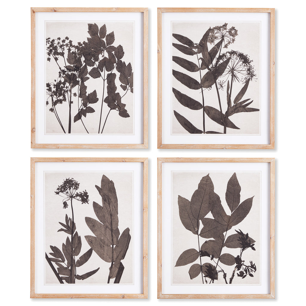 PRESSED FOLIAGE PRINTS, SET OF 4 – Napa Home & Garden
